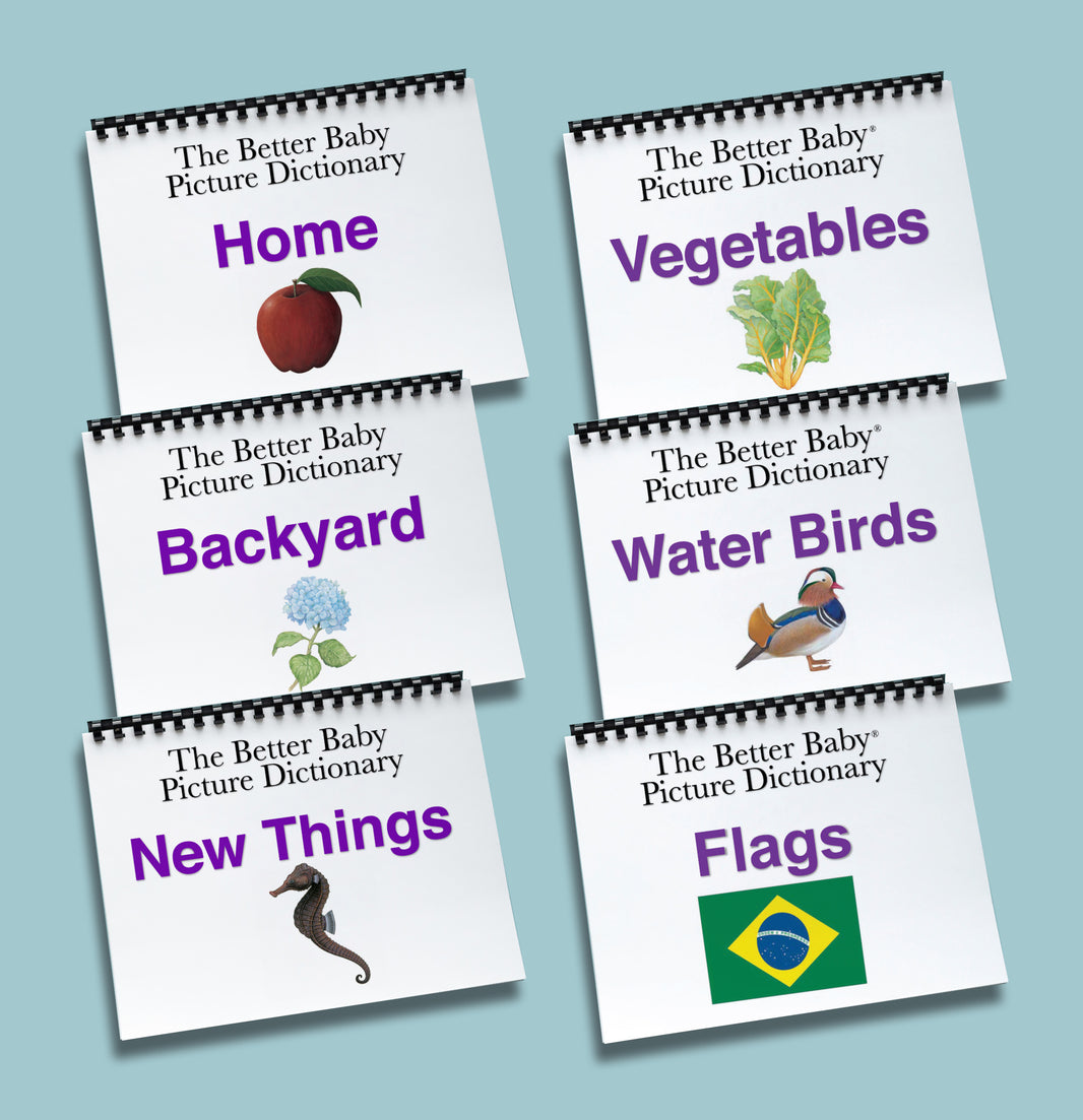 Picture Dictionary Books – The Gentle Revolution Press